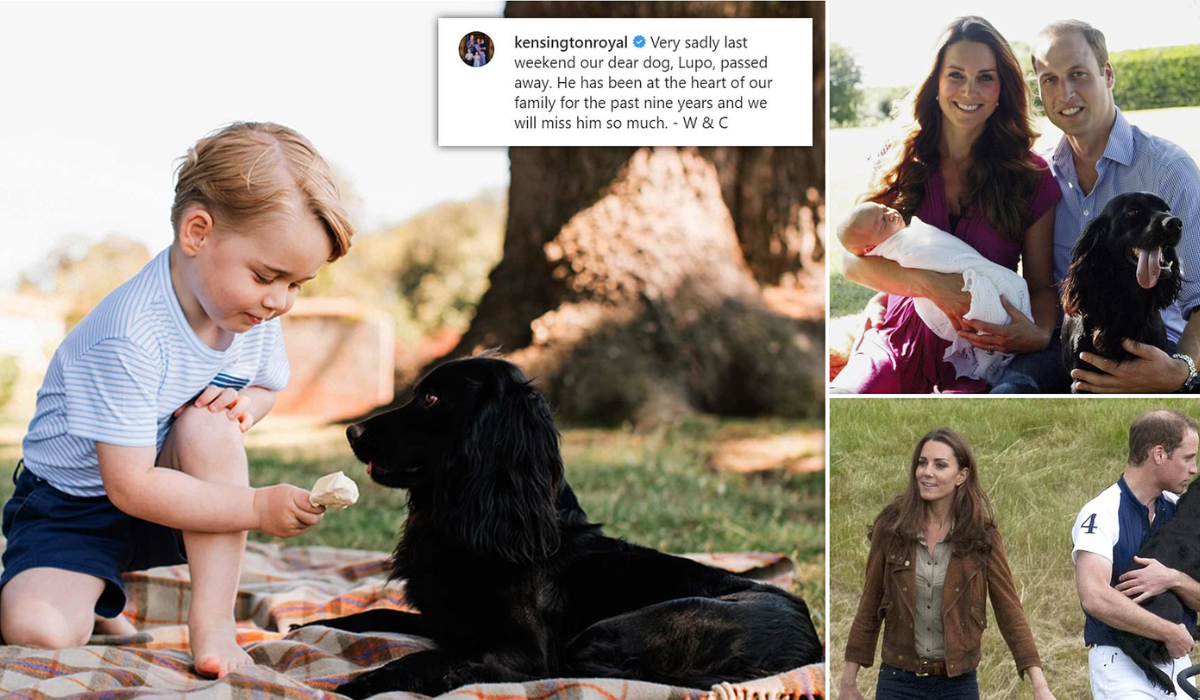 ROYAL NEWS! WHAT! Kate Middleton & Prince William Get A New Member ...